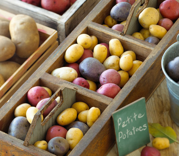 Potato Distributor - Potato Recipes - Potato Varieties Alsum