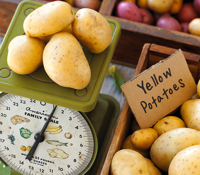 Potato Distributor - Potato Recipes - Potato Varieties Alsum