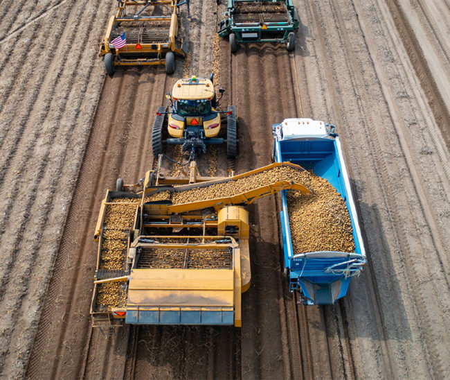 Our History | Sustainable Farming | - Alsum