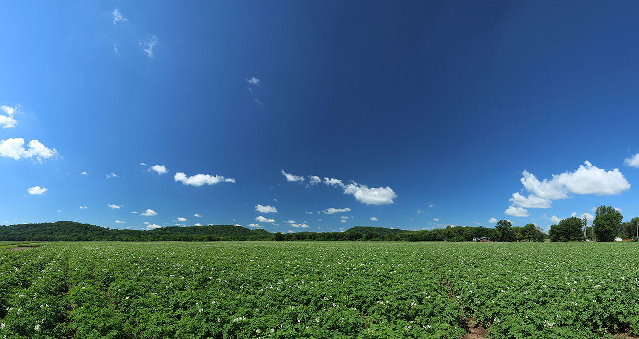 Farm Sustainability and Stewardship - Farm Conservation - Alsum