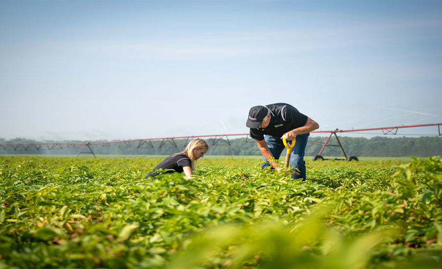 The Alsum Advantage - Produce Distributor - Alsum